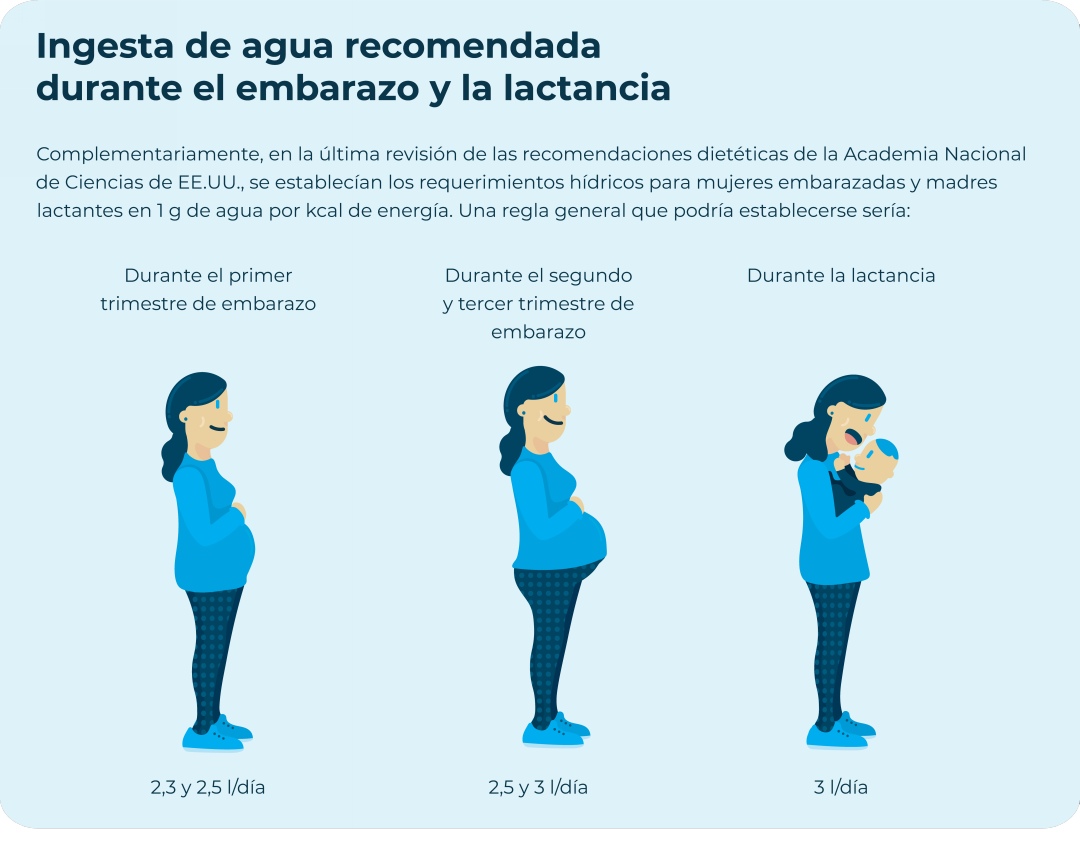 Beneficios de la hidratación durante el embarazo - IIAS